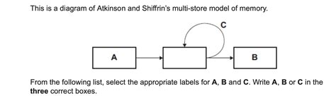 The Multistore Model Of Memory — Memory — Psychstory
