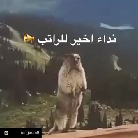 Basem Ahmed Posted On Linkedin