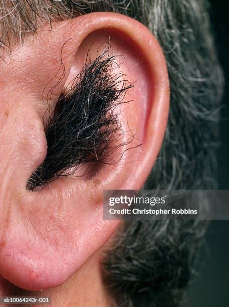 Hair Growing Out Of Senior Mans Ear Closeup Foto De Stock Getty Images