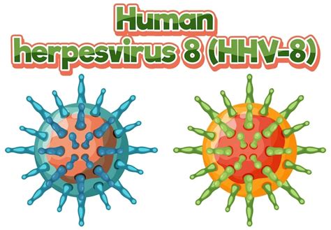 Premium Vector Human Herpesvirus 8 Hhv 8 On White Background