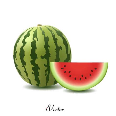 فایل وکتور هندوانه شب یلدا Ivector