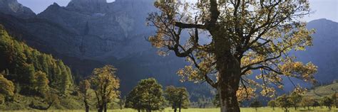 The Best Karwendel Hotels – Where To Stay in and around Karwendel, Austria