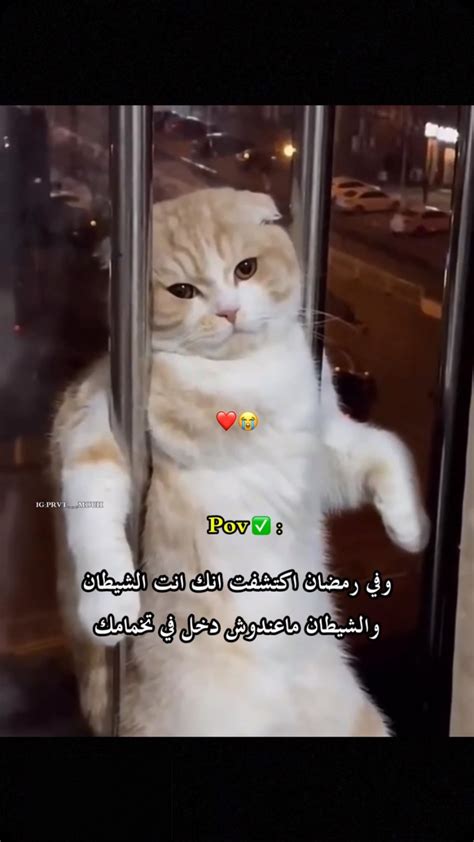 Chofe Story ️👀 🖤 𝑴𝒐𝒓𝒑𝒉𝒊𝒏𝒆 •• مورفـــــين 🖤