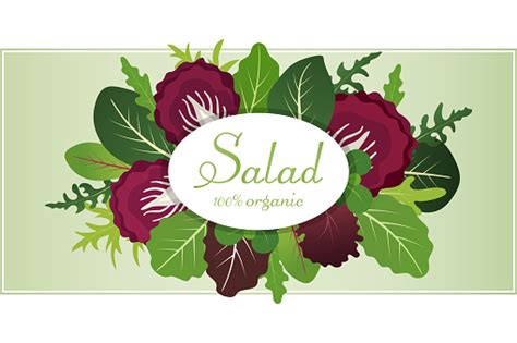 샐러드 잎의 혼합 Arugula 시금치와 양상추 잎 벡터 일러스트 레이 션 평면 스타일에서 설정 합니다 개체 그룹에 대한 스톡