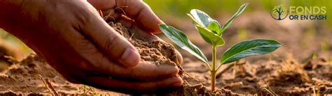 Notre Fonds De Dotation Or En Cash Soutient L Agroforesterie De Marion