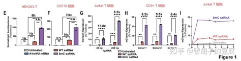 Rna