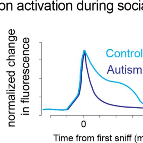In Autism Model Mice Mpfc Drd2 Expressing Cells Activate Abnormally