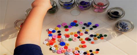 Sistema De Classificação Atividade Prática De Taxonomia Ponto Biologia