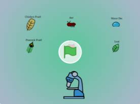 The Scratch Project Of The Scratch Game