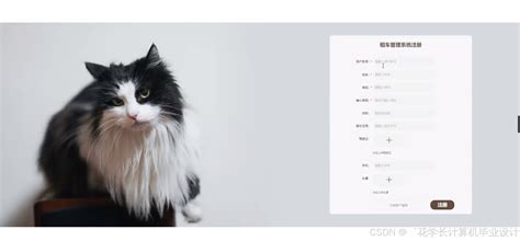 Python毕设 租车管理系统程序论文 Csdn博客