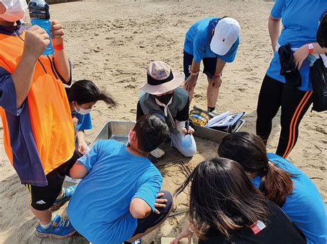 통영 해변 모래속 미세플라스틱 알갱이 찾기 사동아시아바다공동체 오션