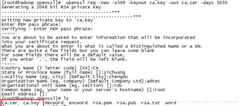 openssl简介 csdn博客