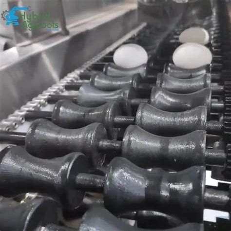 Egg Grading And Sorting Machine At ₹ 1950000 Egg Grader In Sas Nagar