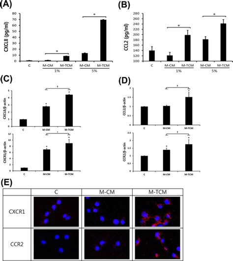 The Expression Of Chemokines And Their Receptors By Proliferated