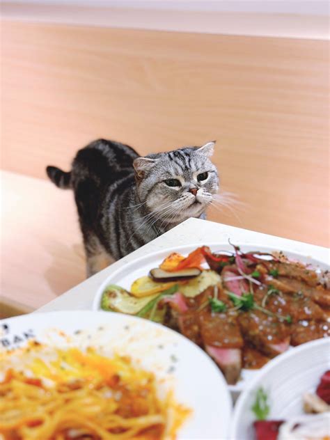 Urban Cafe Openrice