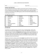 Understanding Igneous Rocks Processes And Classification Course Hero