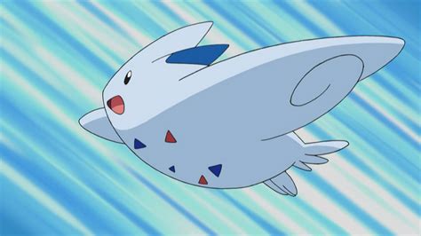 Dawn s Togekiss Bulbapedia the community driven Pokémon encyclopedia