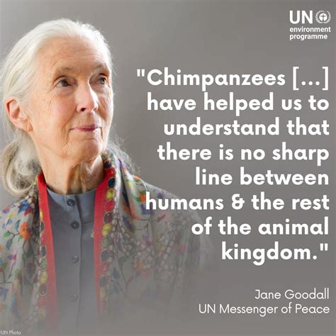 Un Environment Programme On Linkedin Jane Goodall United Nations