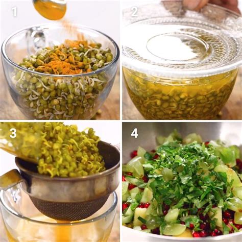 Sprout Salad Recipe