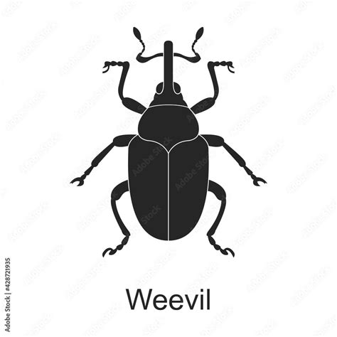 Weevil Vector Black Icon Vector Illustration Pest Insect Weevil On