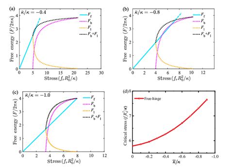 The Stress Strain Relationship Of The Circular Membrane With Different
