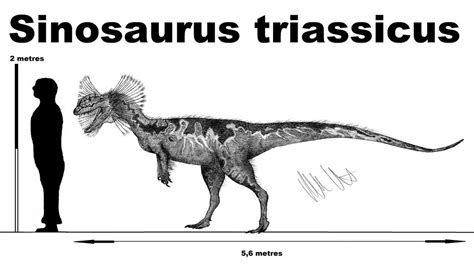 Sinosaurus Triassicus By Teratophoneus On Deviantart