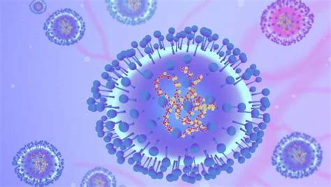 Hmpv Virus గుబులు పుట్టిస్తున్న హెచ్ఎంపీవీ వైర‌స్ అప్ర‌మ‌త్త‌మైన ప్ర‌భుత్వం