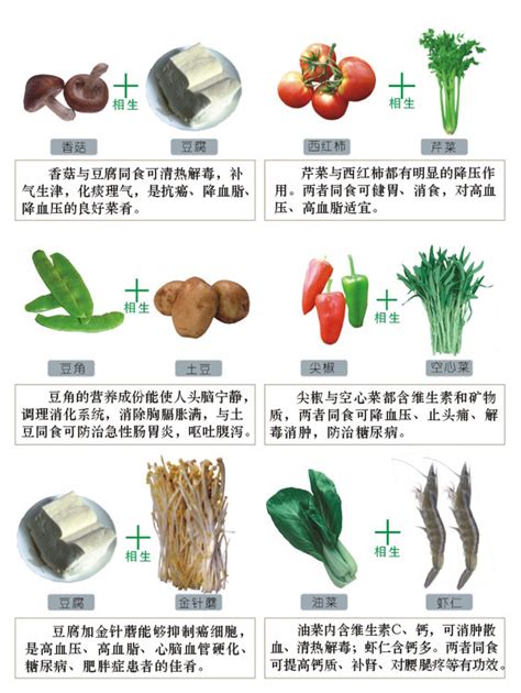 有些东西混到一起吃时美味；有些混到一起时毒药！切记！！！ 桔瓣网