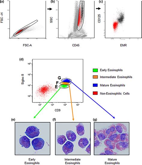 Flow Cytometric Immunophenotypic Differentiation Patterns Of Bone