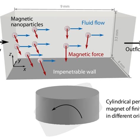Idealised Test Setup The Magnetic Nanoparticles Are Dispersed In The