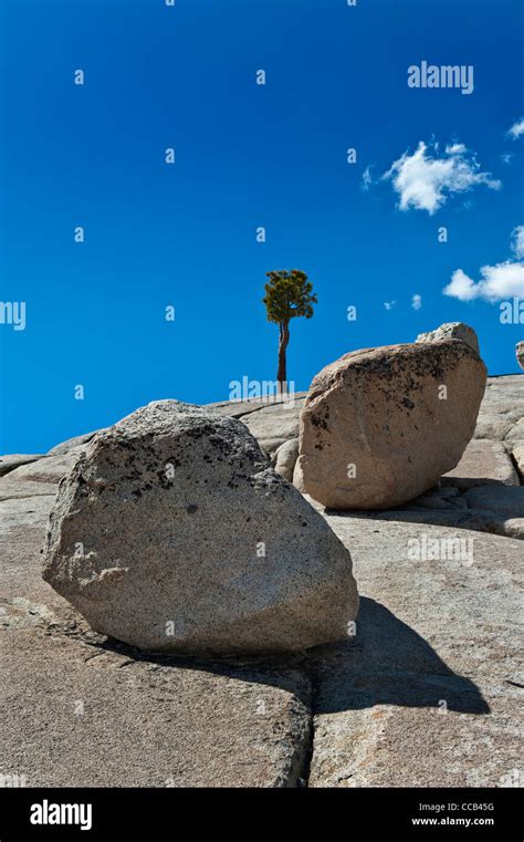 Glacial Erratic Boulders Olmsted Point Yosemite National