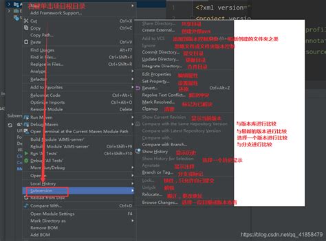 Idea 20211 操作svn 最新 图文 详细版idea2021关联svn Csdn博客