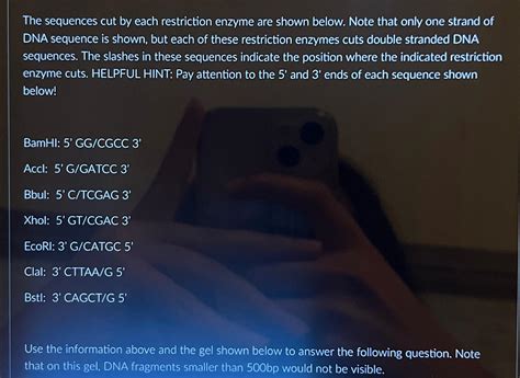 Solved The Sequences Cut By Each Restriction Enzyme Are Chegg