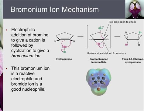 Ppt Chapter 8 Alkenes Reactions And Synthesis Powerpoint