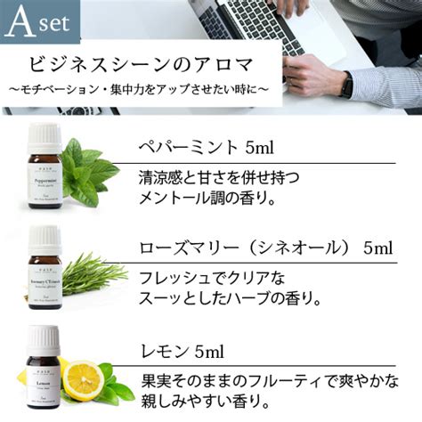 男性のアロマasetペパーミント・ローズマリー・レモン 各5ml×3本 精油 仕事 ギフト プレゼント 香り アロマオイル エッセンシャル