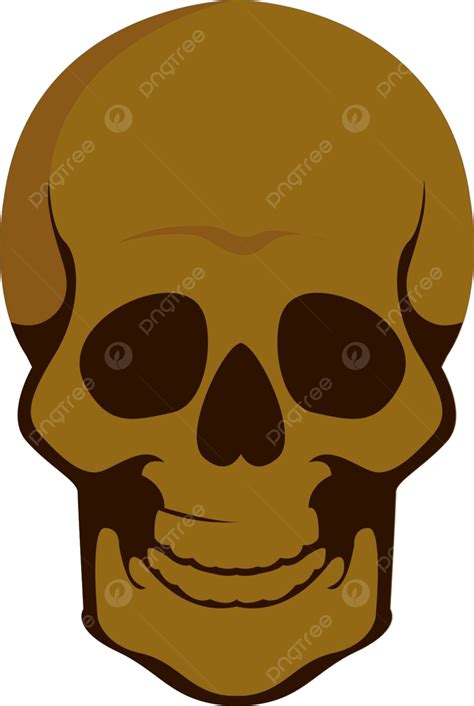 Skull Headillustrationvector On White Background Human Anatomy Symbol