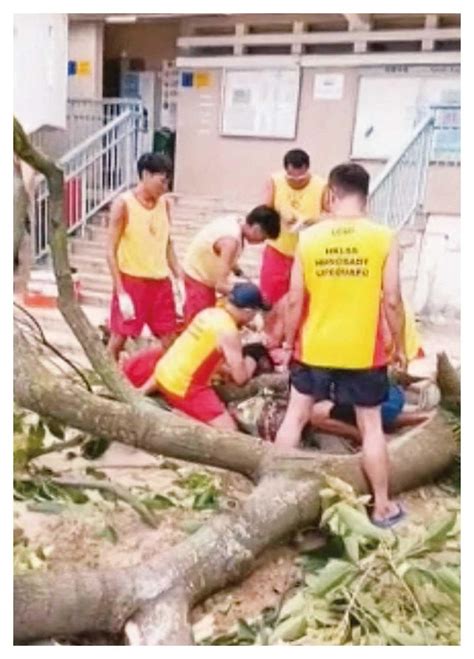 颱風泰利掠港 凌晨改掛8號 今明雷暴狂風大驟雨