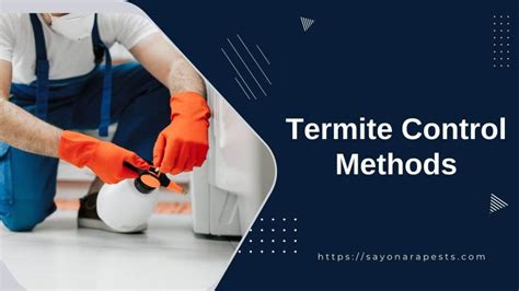 Termite Control Methods Simon P