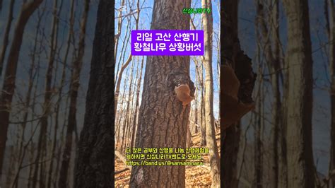 더 많은 공부와 산행물 나눔 산행체험을원하시면 산삼나라tv밴드로 오세요 Sansamnara 버섯