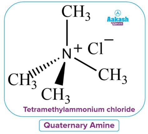 Amines - Amines, their Structure, Classification, Basicity, Uses ...
