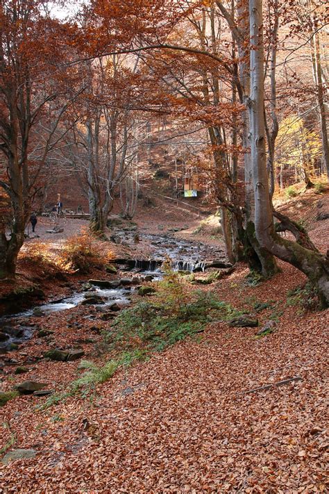 Wasserfall Fluss Herbst Kostenloses Foto Auf Pixabay Pixabay