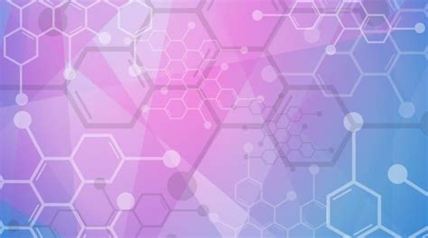 Hexagonal Architecture With Spring Boot Tutorial