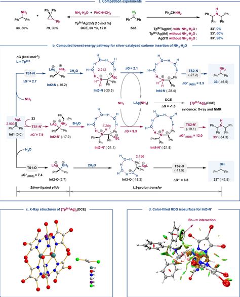 Experimental And DFT Computational Insights Into The Mechanism A