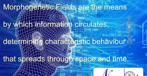 Omaridin Biological Immunomodulator On Linkedin Morphogenetic Field Campo Morfogenético
