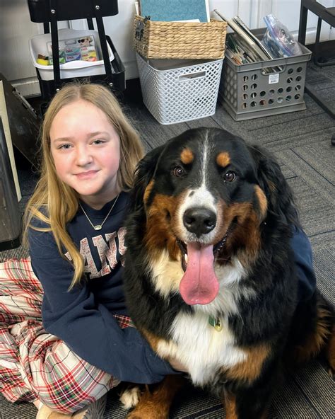 Therapy Dog Program — Accelerated Schools Of Overland Park