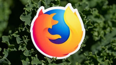 Extensões Do Firefox Não Funcionam Culpa é Da Mozilla Mas Correção
