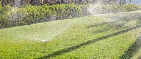 What Is The Perfect Watering Schedule For My Newly Overseeded Lawn