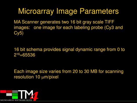 ppt tigr spotfinder a tool for microarray image processing