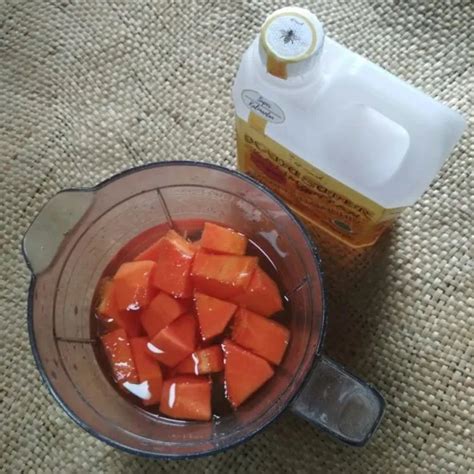Resep Jus Pepaya Madu Sederhana Rumahan Di Yummy App