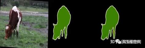 深度学习 Unet语义分割二分类与多分类的对比 知乎